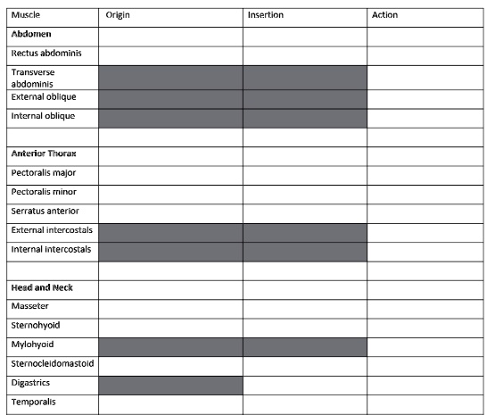 SOLVED: Muscle Origin Insertion Action Rectus abdominis Transverse ...