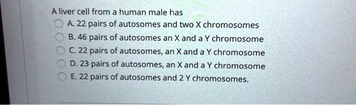 liver cell from human male has a 22 pairs of autosomes and two x ...