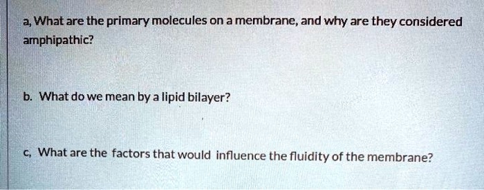SOLVED: a What are the primary molecules on a membrane, and why are ...