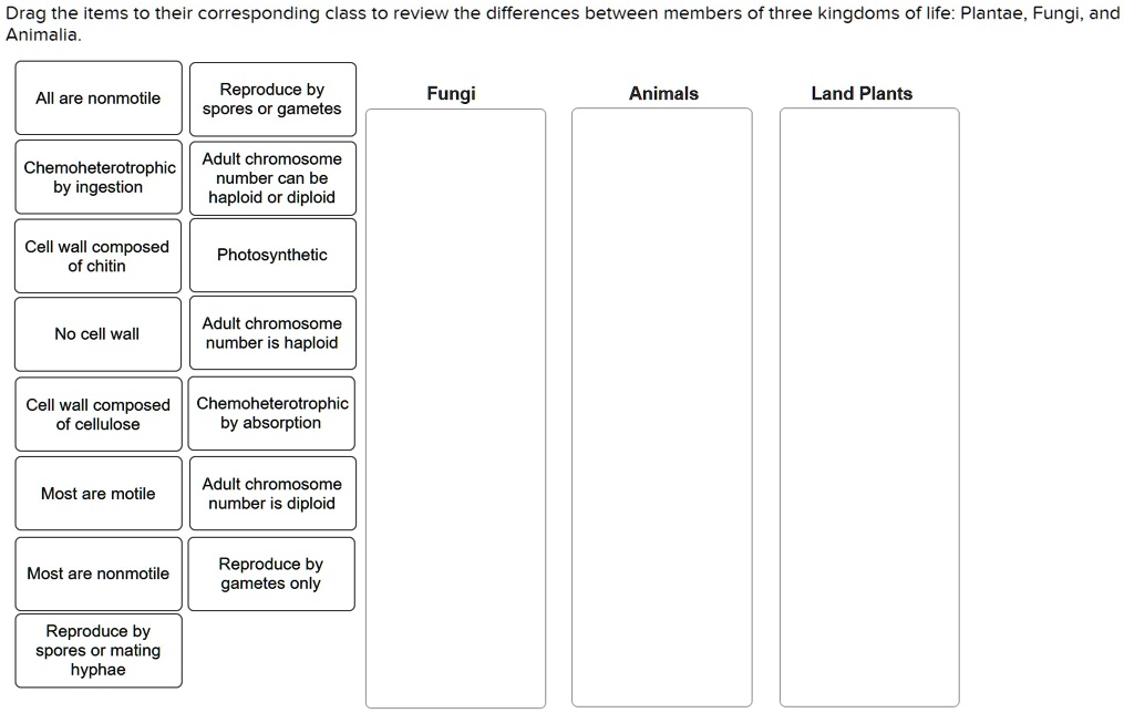 Drag the items to their corresponding class to review the differences ...