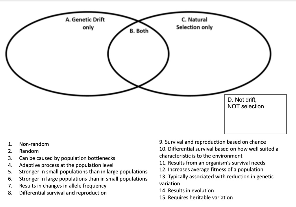 Solved A Genetic Drift Only C Natural Selection Only B Both D Not Drift Not Selection Non