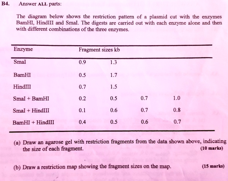 b4 answer all parts the diagram below shows the restriction pattern of plasmid cut with the ...