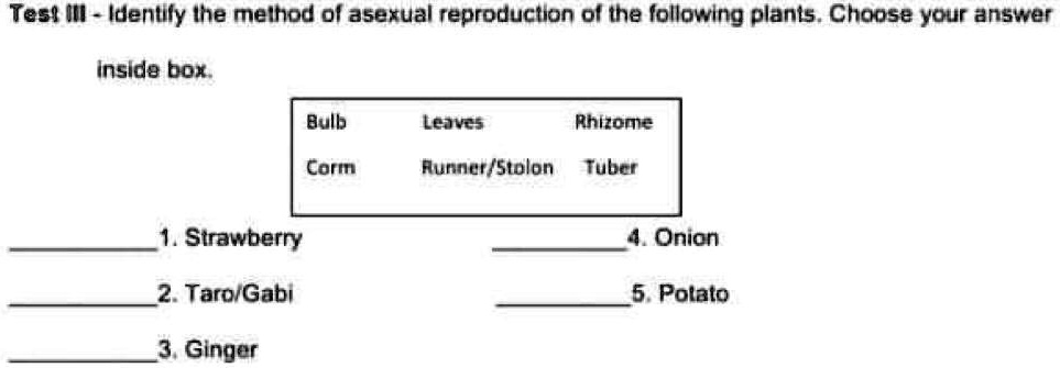Test III - Identify the method of asexual reproduction of the following ...