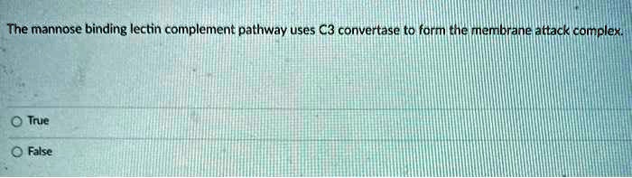 Solved The Mannose Binding Lectin Complement Pathway Uses C3 Convertase To Form The Membrane