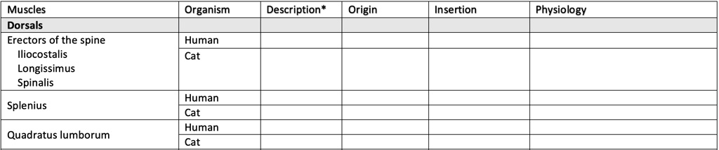 Muscles Organism Description* Origin Insertion Physiology Dorsals ...