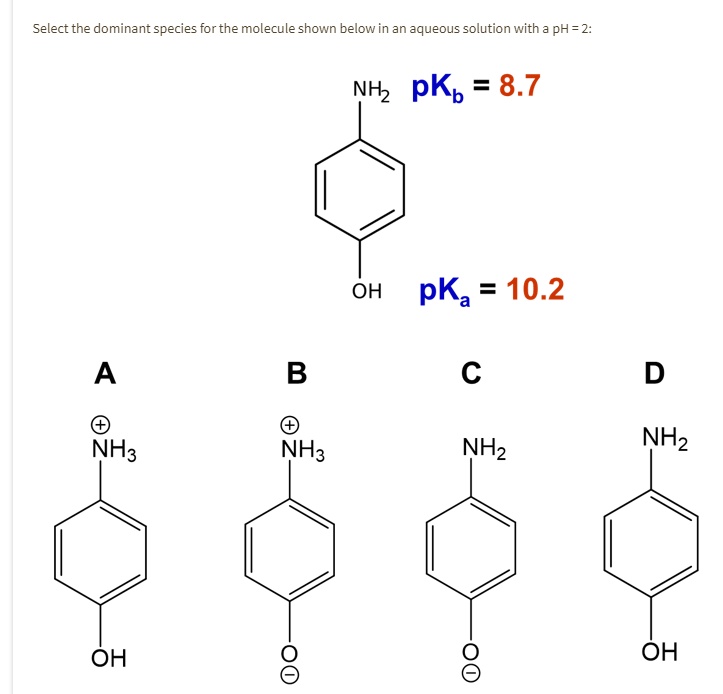 SOLVED: Select the dominant species forthe molecule shown below in ...