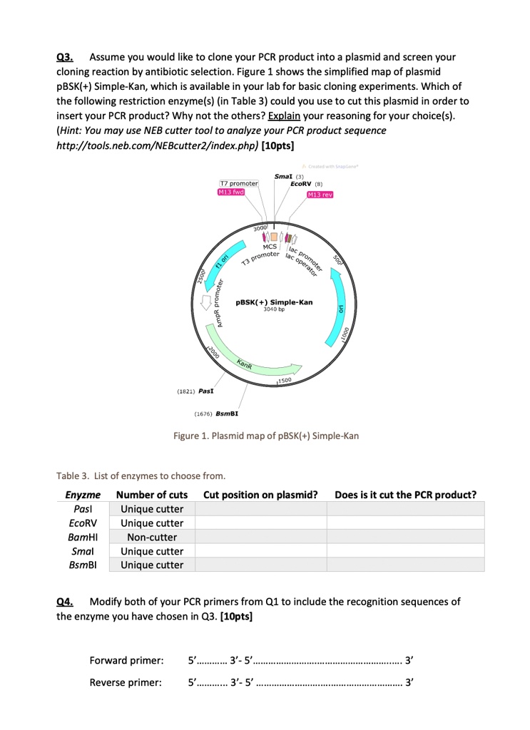 SOLVED: Texts: 03. Assume you would like to clone your PCR product into ...