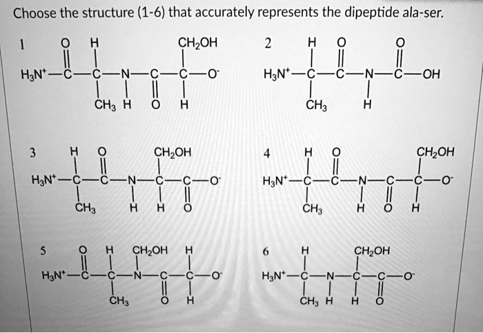 SOLVED: Choose the structure (1-6) that accurately represents the ...