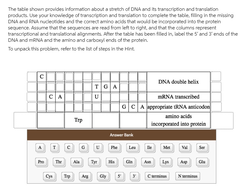 the table shown provides information about a stretch of dna and its ...