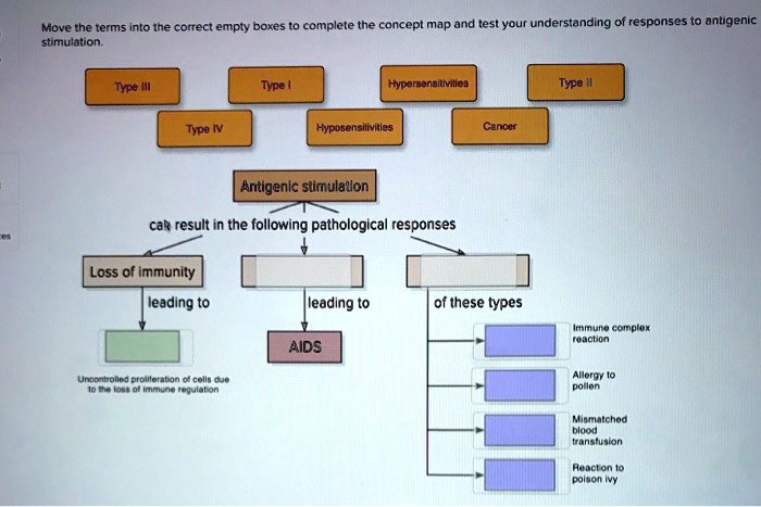 Move the terms into the correct empty boxes to complete the concept map ...