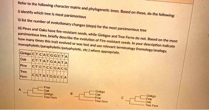 SOLVED: Refer to the following - character = matrix and phylogenetic i) identify - whlch = tree ...