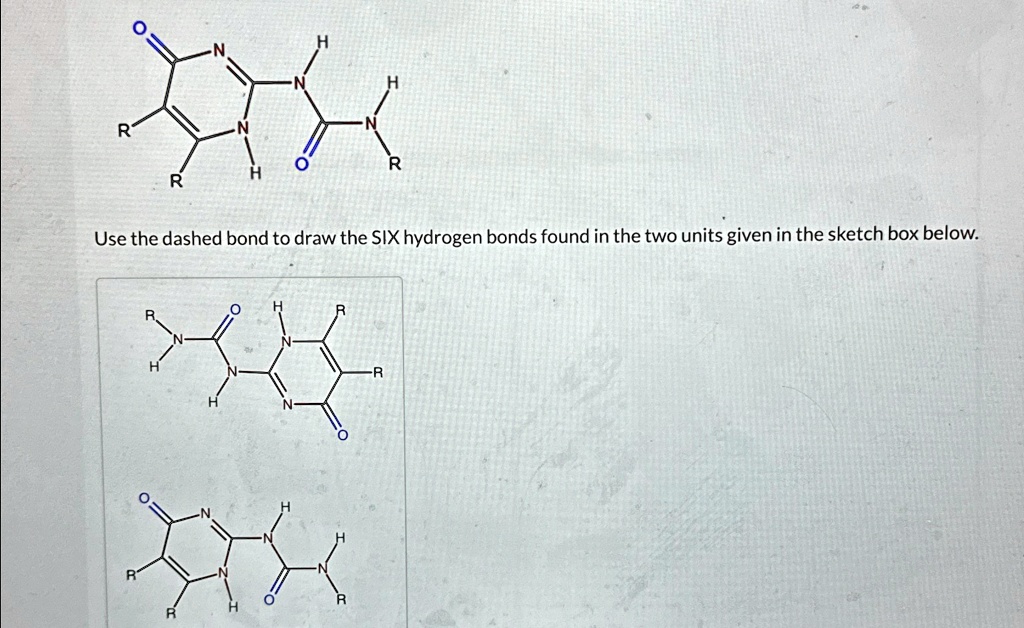 SOLVED: Use the dashed bond to draw the SIX hydrogen bonds found in the ...