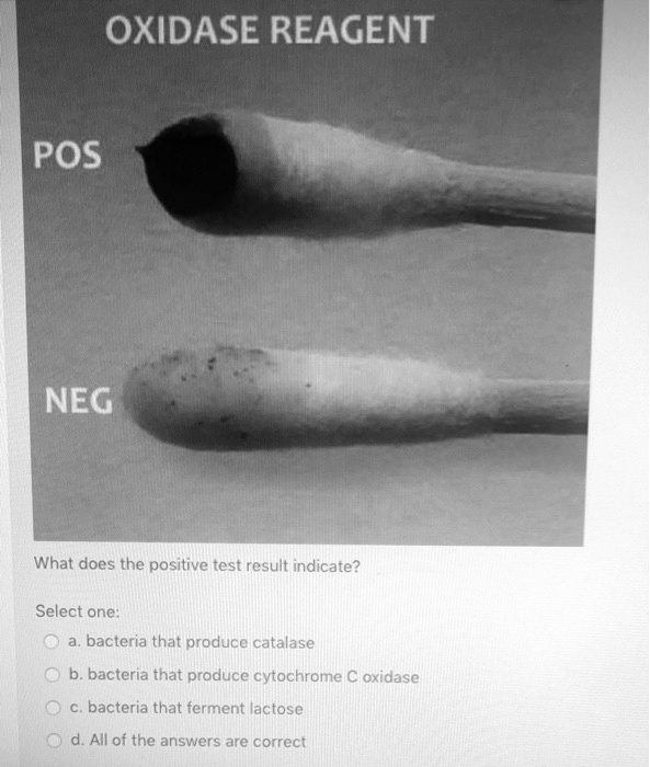 SOLVED: OXIDASE REAGENT POS NEG What does the positive test result ...