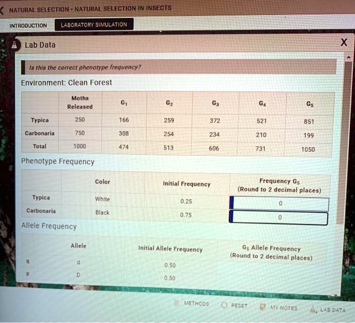 SOLVED: NATURAL SELECTION IN INSECTS INTRODUCTION Laboratory Simulation ...