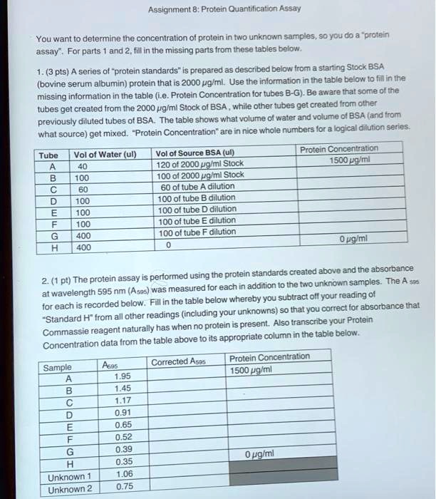 SOLVED: Assignment 8: Protein Quantification Assay You want to ...