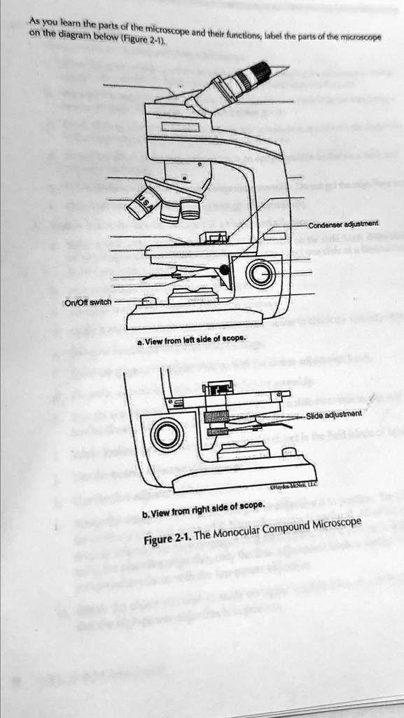 As you learn the parts of the microscope and their functions, label the ...