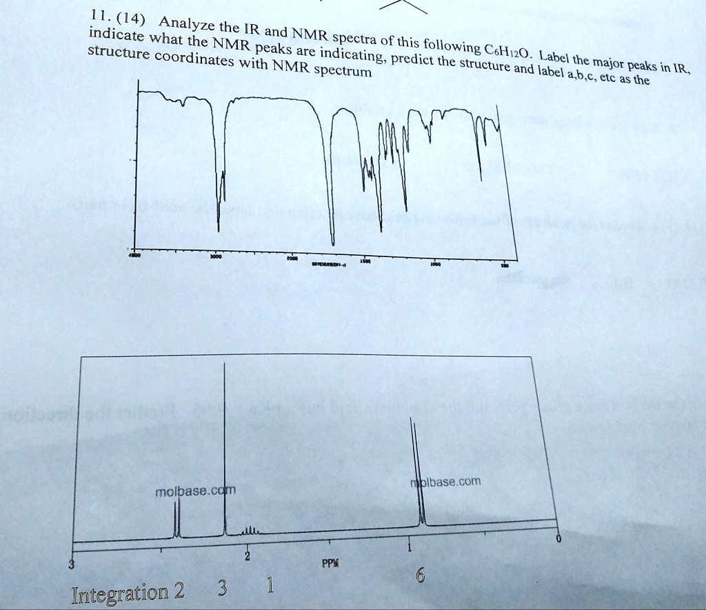 SOLVED: No 11 question about IR spectrum in organic chemistry. 11. (14) Analyze and indicate ...