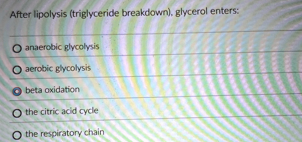 After lipolysis (triglyceride breakdown), glycerol enters: anaerobic ...
