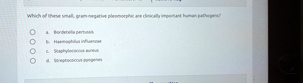 Which of these small, gram-negative pleomorphic are clinically ...