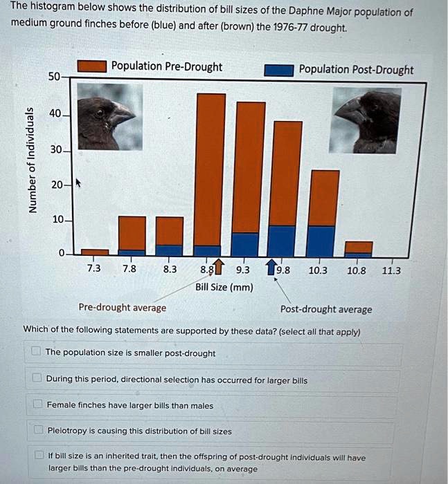 The histogram below shows the distribution of bill sizes of the Daphne ...