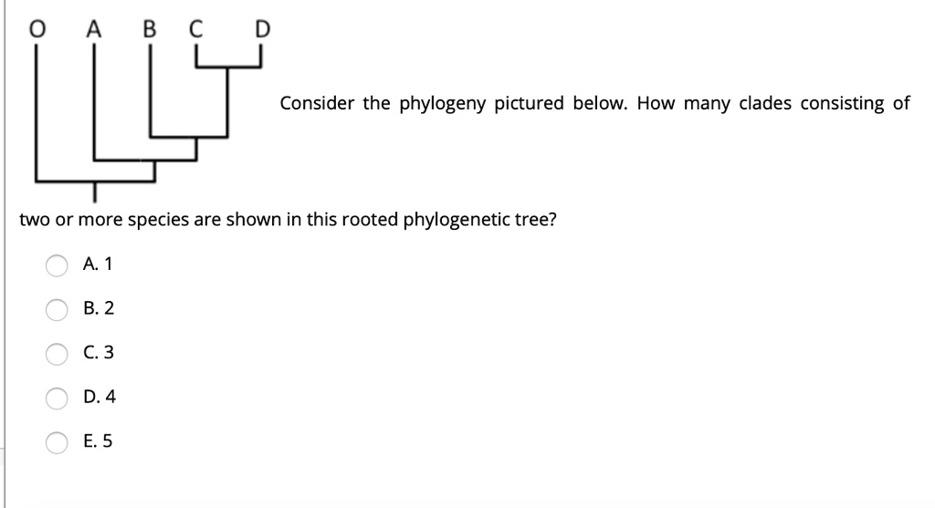 consider the phylogeny pictured below how many clades consisting of two ...