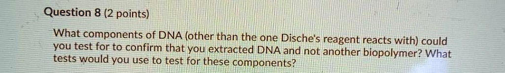SOLVED: Question 8 (2 points) What components of DNA (other than the ...