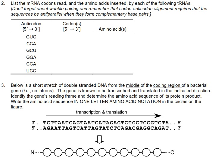 SOLVED:List the mRNA codons read and the amino acids inserted, by each ...