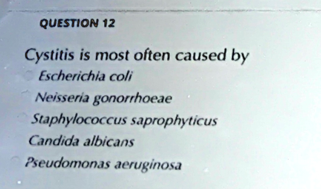 question 12 cystitis is most often caused by escherichia coli neisseria ...