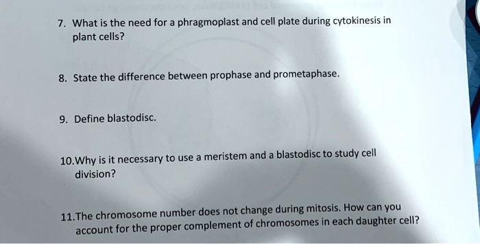 SOLVED: What is the need for phragmoplast and cell plate during cytokinesis in plant cells ...