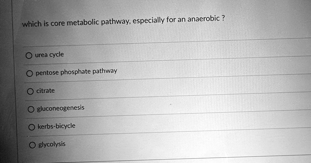 SOLVED: Which is the core metabolic pathway, especially for an ...