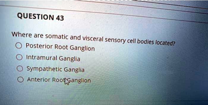 SOLVED: Where are somatic and visceral sensory cell bodies located ...