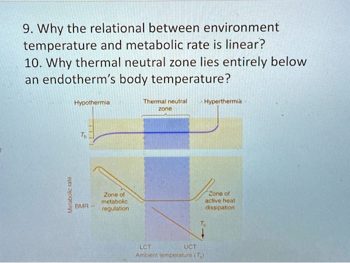 SOLVED: Why is the relationship between environmental temperature and ...