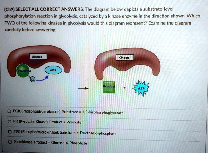 SOLVED: (Ch9) SELECT ALL CORRECT ANSWERS: The diagram below depicts ...