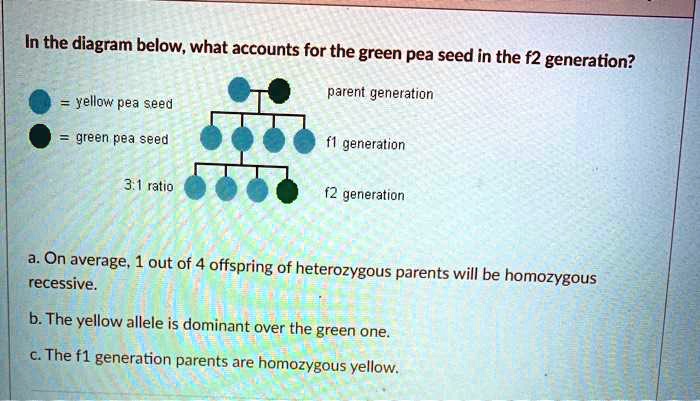 In the diagram below, what accounts for the green pea seed in the f2 ...