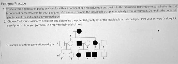 Pedigree Practice 1. Create a three generation pedigree chart for either a dominant or a ...