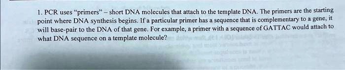 SOLVED: 1. PCR uses primers - short DNA molecules that attach to the ...