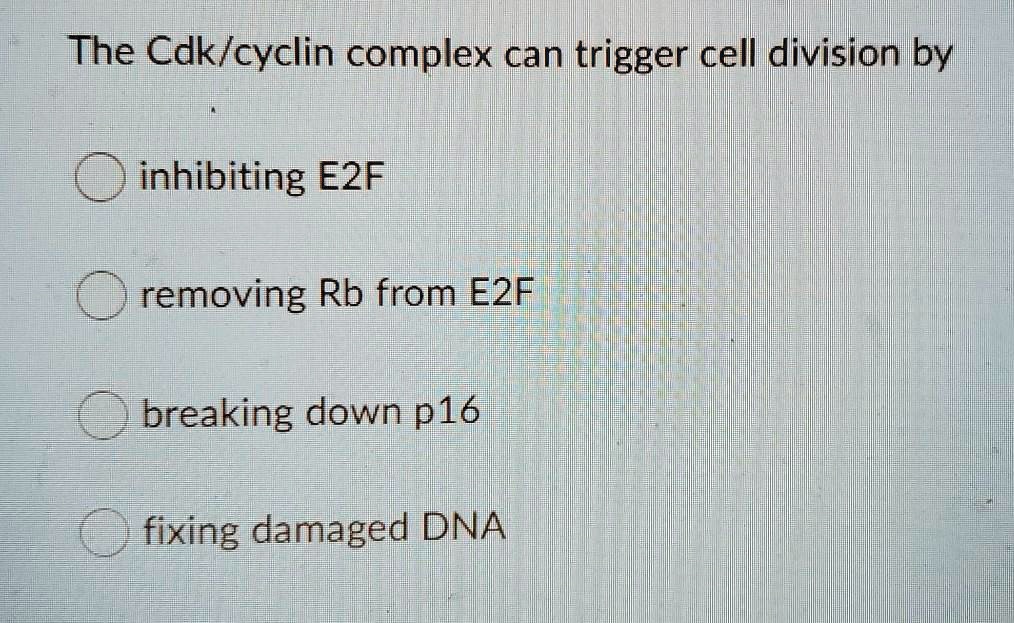 SOLVED: The Cdk-cyclin complex can trigger cell division by inhibiting ...