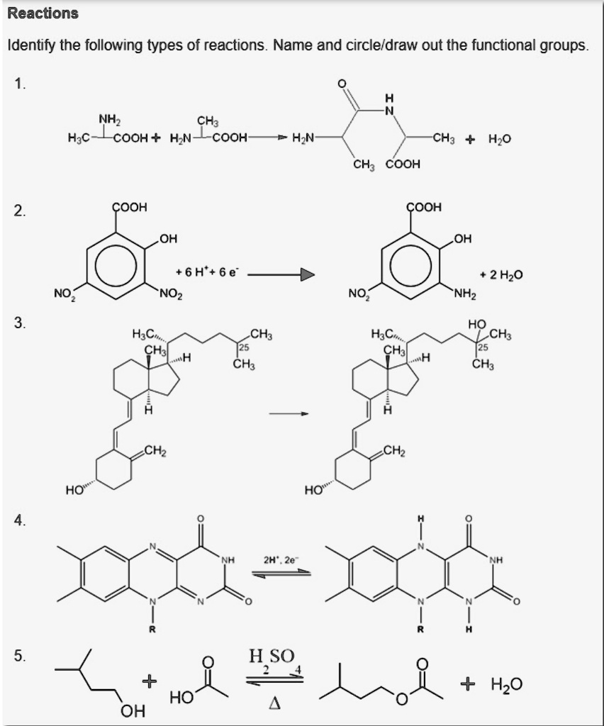 Reactions Identify the following types of reactions. Name and circle/draw out the functional ...