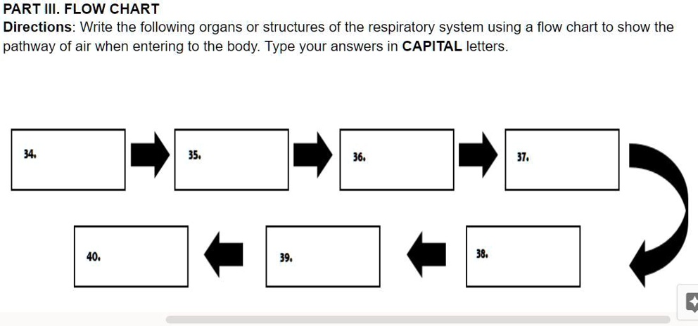 PART III. FLOW CHART Directions: Write the following organs or ...
