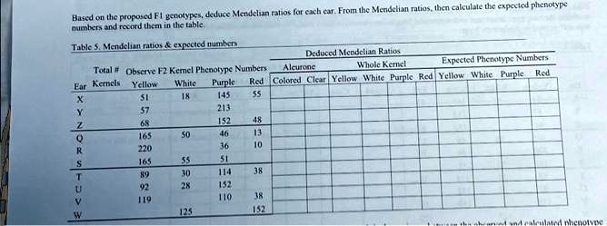 SOLVED: Based on the proposed F1 genotypes, deduce Mendelian ratios for ...