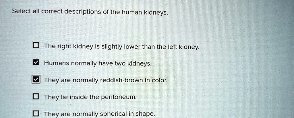 Select all correct descriptions of the human kidneys. The right kidney ...