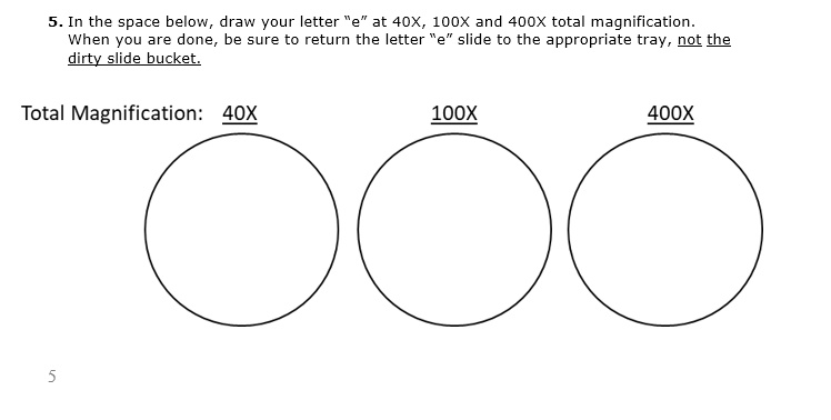 In the space below draw your letter e at 40x oox and 40ox...