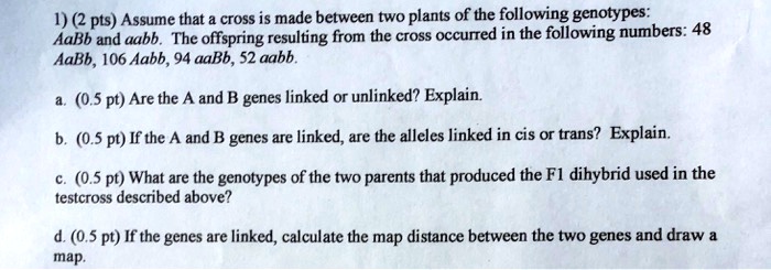 SOLVED: 1) (2 pts) Assume that cross is made between two plants of the following genotypes: AaBb ...