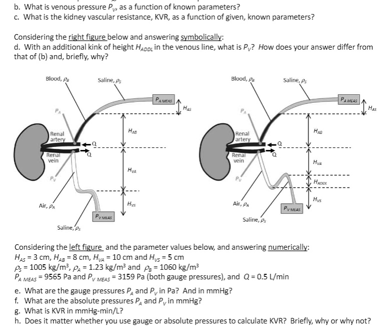 answer d through f please what is venous pressure pv as a function of ...