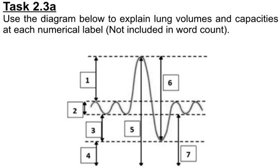 Task 2.3a Use the diagram below to explain lung volumes and capacities ...