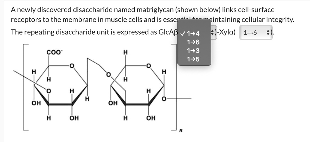 SOLVED: A newly discovered disaccharide named matriglycan (shown below ...