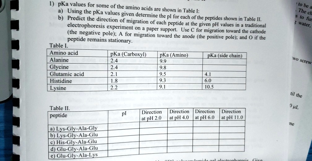 pka values for some of the amino using the pka values acids are shown in table i b predict the ...