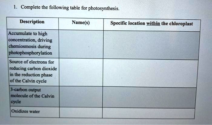SOLVED: Complete the following table for photosynthesis. Description ...
