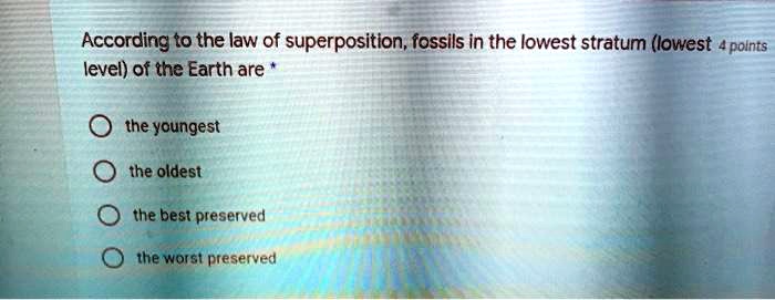 according to the law of superposition fossils in the lowest stratum ...