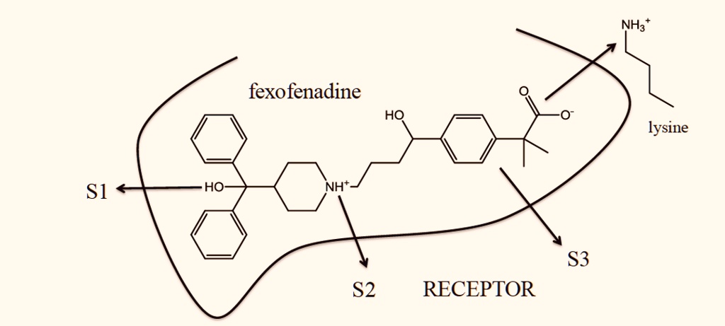 SOLVED: The structure of fexofenadine, commonly known as AllegraÂ®, is ...